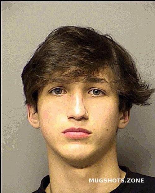 THOMAS LOGAN RILEY 04/15/2021 - Porter County Mugshots Zone