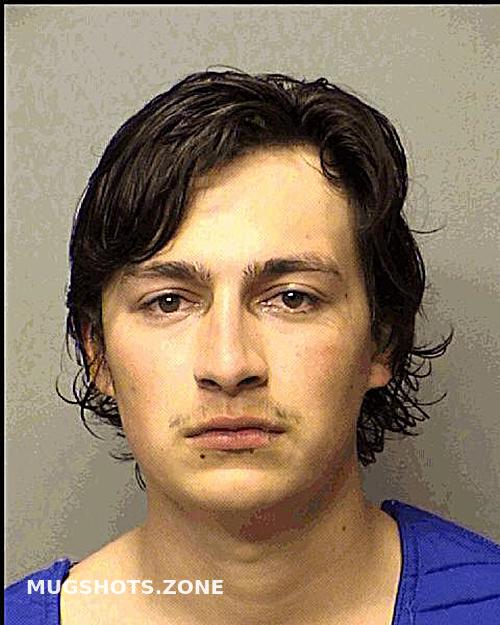 GEORGIEFSKI-RIOS JACOB N 05/02/2021 - Porter County Mugshots Zone