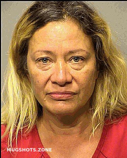 WILSON SHEILA JUNE 07/30/2021 - Porter County Mugshots Zone