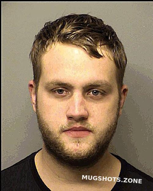 AVINO TYLER MICHAEL 10/06/2021 - Porter County Mugshots Zone
