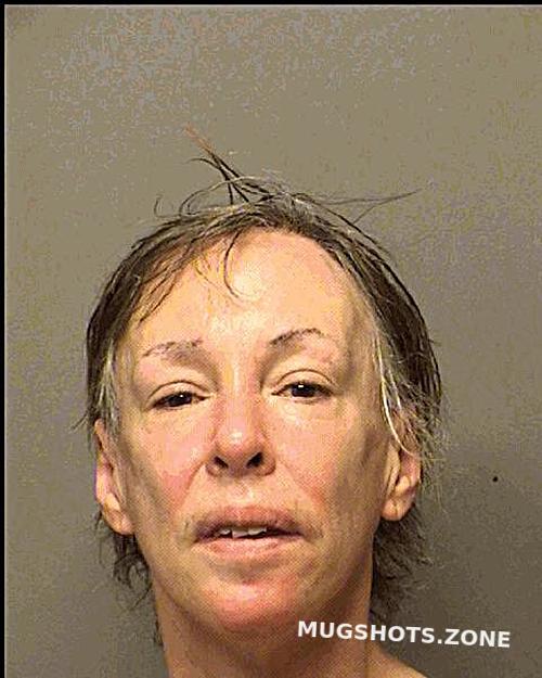 MATERN SARAH KATHRYN 11/22/2021 - Porter County Mugshots Zone