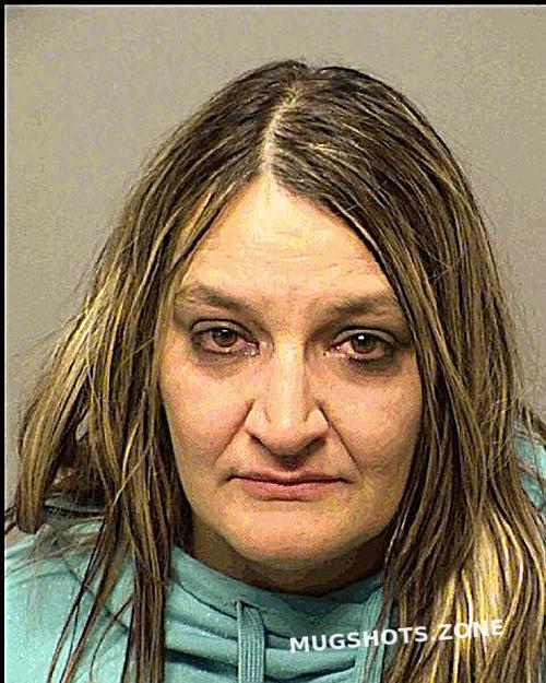 JOZWIAK JAMIE ANNE 12/19/2021 - Porter County Mugshots Zone