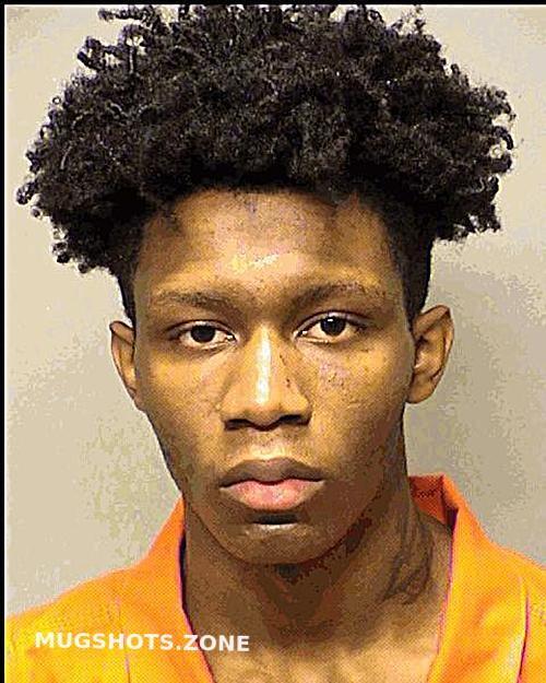 JOHNSON TAYLON JARELL 02/27/2022 - Porter County Mugshots Zone