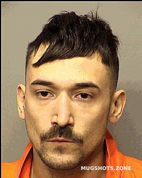 MARTINEZ ROLANDO RYAN 02/27/2022 - Porter County Mugshots Zone