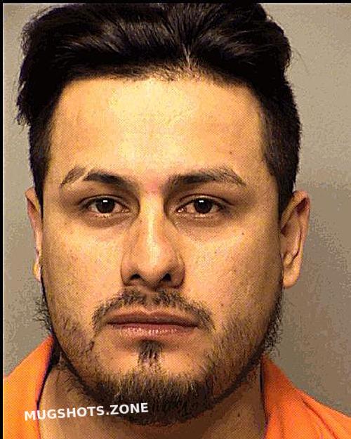 MIRANDA MOSES 04/24/2022 - Porter County Mugshots Zone