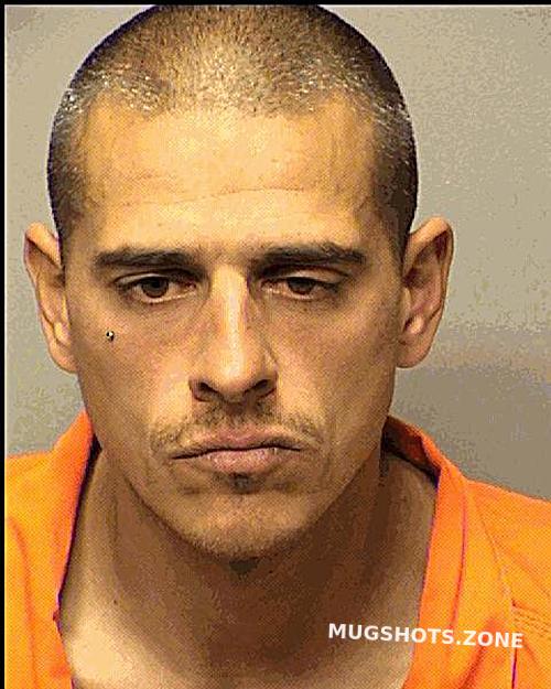 ARONA CHRISTOPHER LYN 04/26/2022 - Porter County Mugshots Zone