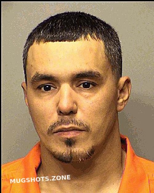 Palacios Juan Manuel 05 15 2022 Porter County Mugshots Zone