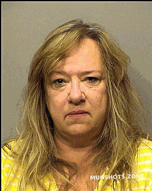 ELKINS LAURA DIANE 07/28/2022 - Porter County Mugshots Zone