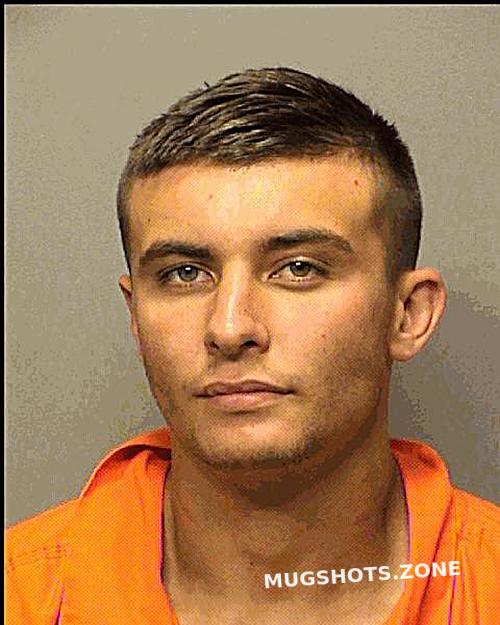 LESNIAK BLAKE ANTHONY 08/11/2022 - Porter County Mugshots Zone