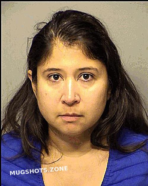 RESSLER JESSICA ANN 09/08/2022 - Porter County Mugshots Zone