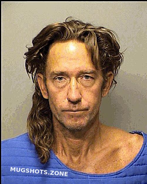 DAHLIN CARL LEWIS 11/03/2022 - Porter County Mugshots Zone