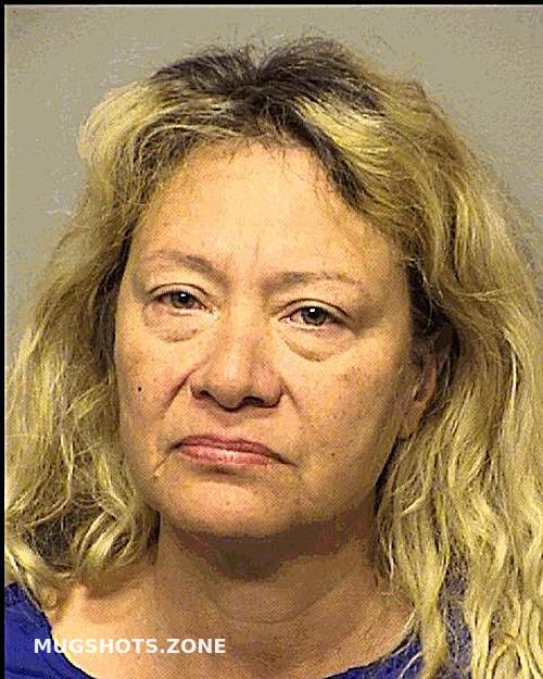 WILSON SHEILA JUNE 11/18/2022 - Porter County Mugshots Zone