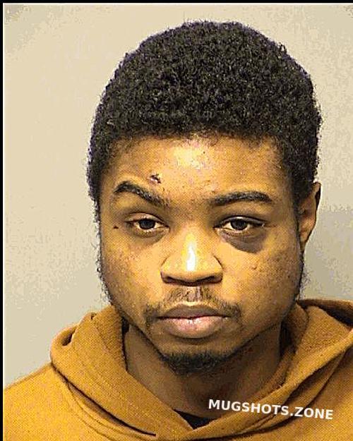 JOHNSON JACARI TERRELL 12/12/2022 - Porter County Mugshots Zone