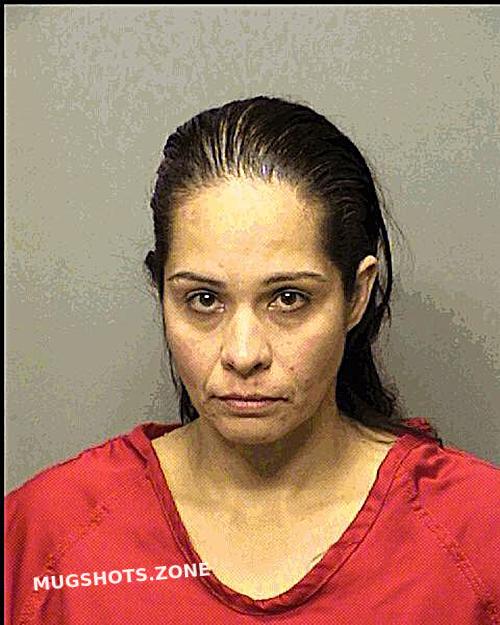 SALINAS-LOZANO MARISSA DENISE 12/29/2022 - Porter County Mugshots Zone