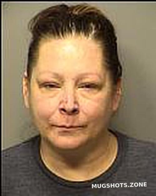 DOMBROWSKI SANDRA LYNN 05/02/2023 - Porter County Mugshots Zone