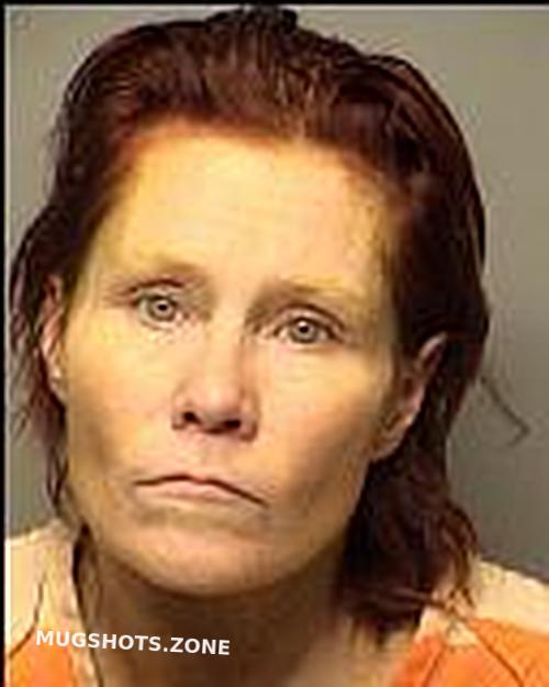 ROSEBERRY MICHELLE LORRAINE 07/20/2023 - Porter County Mugshots Zone