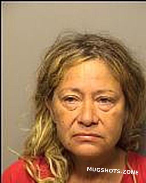 WILSON SHEILA JUNE 07/30/2023 - Porter County Mugshots Zone