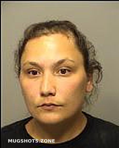 POTTS AMBER LYNN 08/11/2023 - Porter County Mugshots Zone