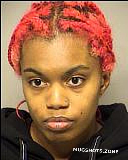 HICKS PARIS ANDRALIC 10/12/2023 - Porter County Mugshots Zone