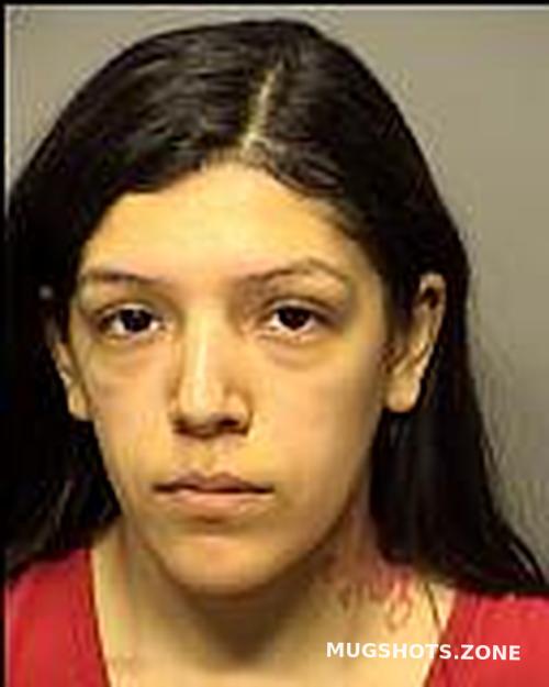 SOLIS ARIANNA MONIQUE 10/20/2023 - Porter County Mugshots Zone