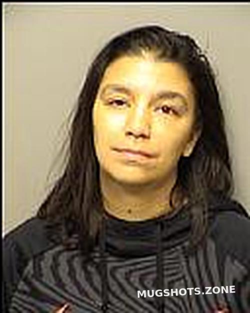 COOK-RAMIREZ RACHEL MARIE 11/16/2023 - Porter County Mugshots Zone