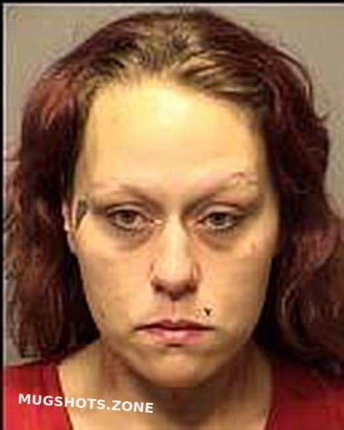 WORLEY TONYA ANN 11/19/2023 - Porter County Mugshots Zone