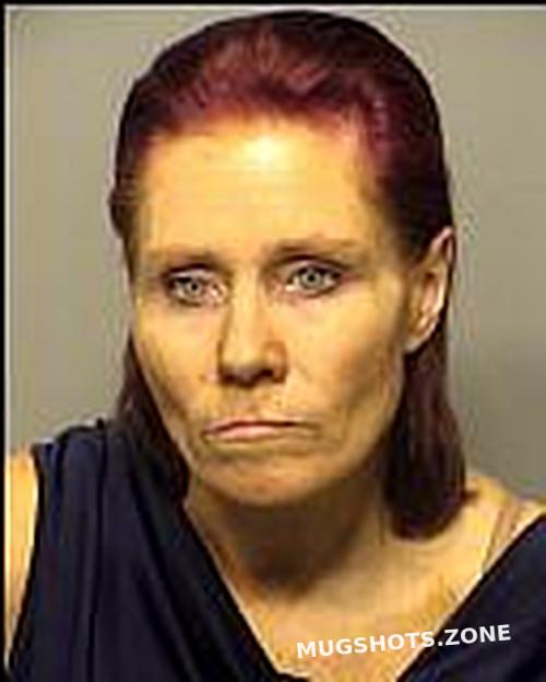 ROSEBERRY MICHELLE LORRAINE 01/23/2024 - Porter County Mugshots Zone