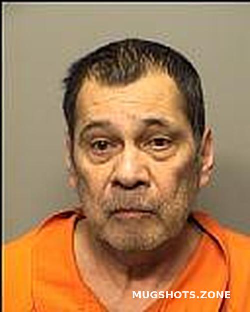 MELCHOR SERGIO GERARDO 02/08/2024 - Porter County Mugshots Zone