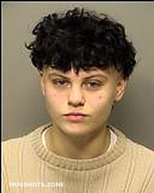 ROWE KAYLEY ANN 03/11/2024 - Porter County Mugshots Zone
