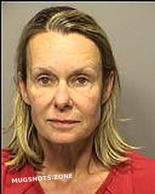 TUREK SUSAN MARIE 03/11/2024 - Porter County Mugshots Zone