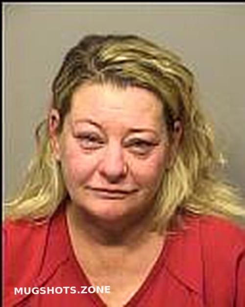 AMPELIOTIS SHERI RENEE 03/23/2024 - Porter County Mugshots Zone