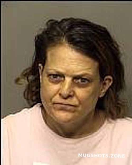 GOLDBERG-HARRIS LISA FREDA 03/28/2024 - Porter County Mugshots Zone