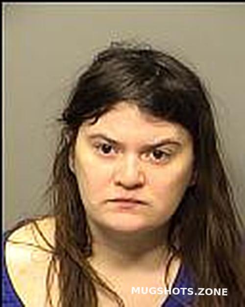 STACY ALLISON FAYE 04/15/2024 - Porter County Mugshots Zone