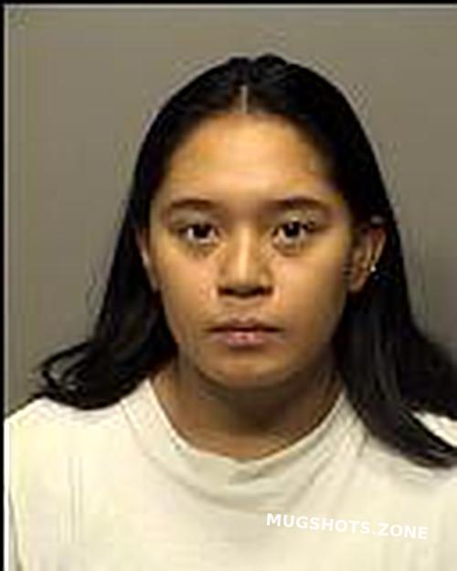 FLORES FRANCESCA ANDAYA 05/04/2024 - Porter County Mugshots Zone