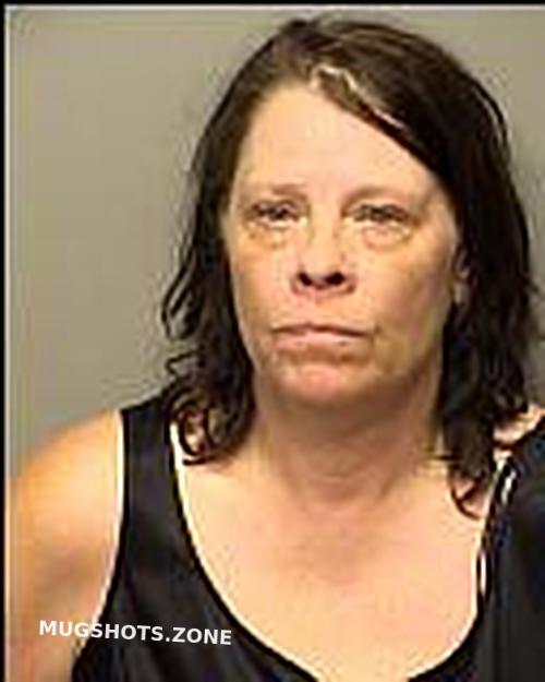 HILL HEATHER JO 05/23/2024 - Porter County Mugshots Zone