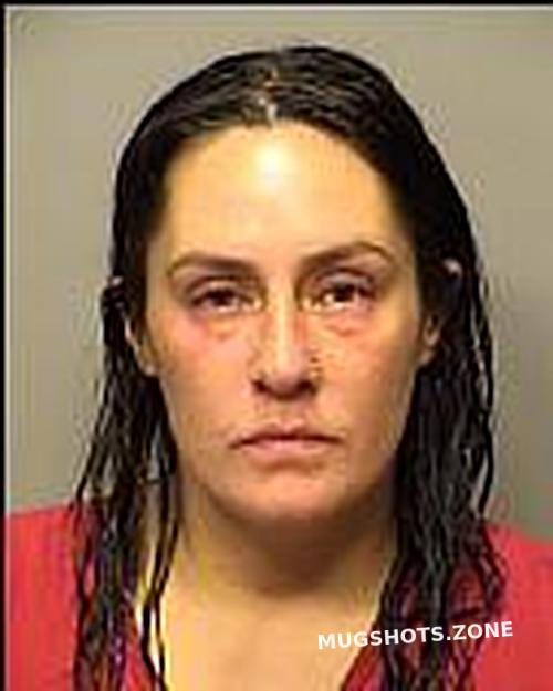 GARCIA CLARISSA CLOREACE 06/03/2024 - Porter County Mugshots Zone