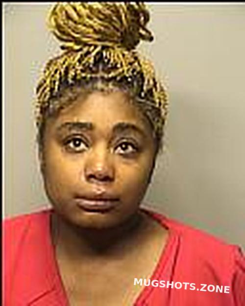 JOHNSON TIFFANY ANN 06/21/2024 - Porter County Mugshots Zone