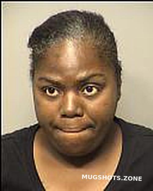 HOPKINS ARICKA ELAINE 07/19/2024 - Porter County Mugshots Zone