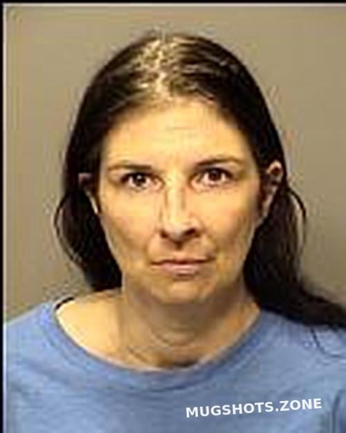 DAVIS LAUREN BETH 08/19/2024 - Porter County Mugshots Zone