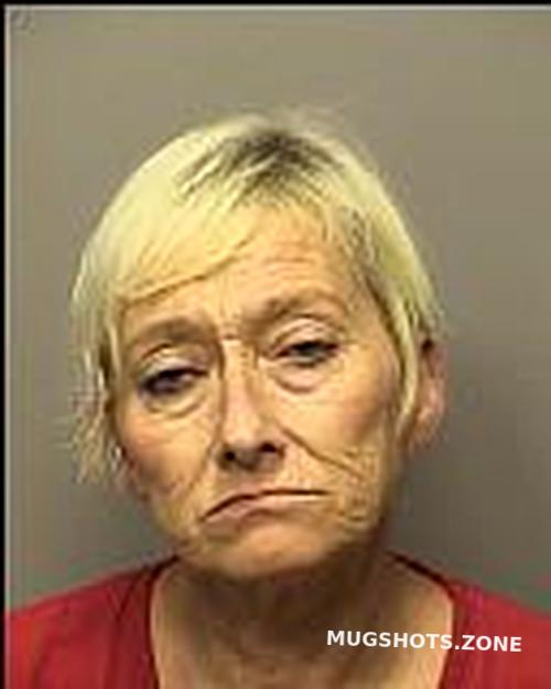 SMITH MICHELLE ANN 09/05/2024 - Porter County Mugshots Zone