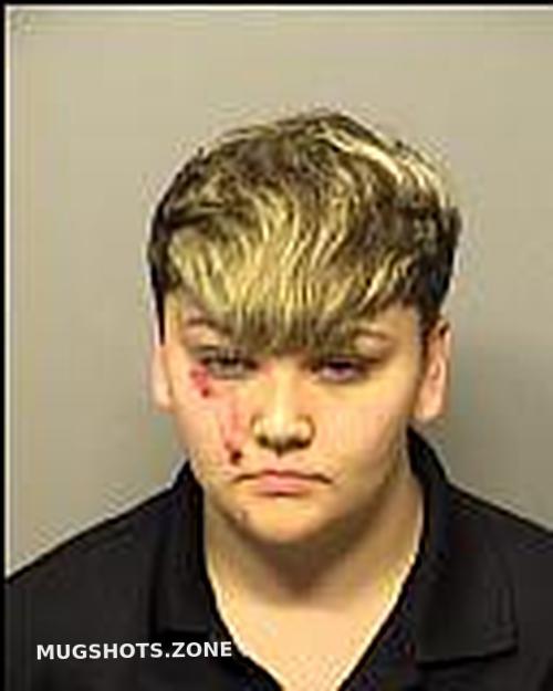 TEFTELLER HAYLE LYNN 09/10/2024 - Porter County Mugshots Zone