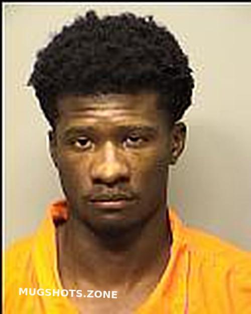 BAILEY DEMACIO TRAVION 09/22/2024 - Porter County Mugshots Zone