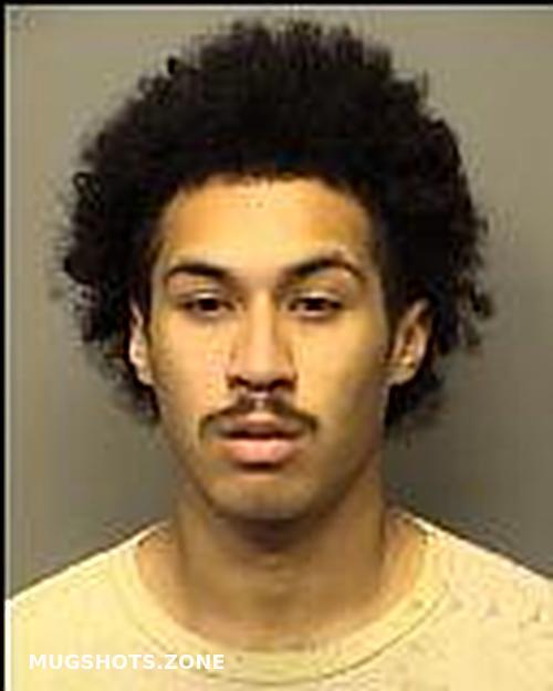 CARROLL ISAIAH LUCAS 10/18/2024 - Porter County Mugshots Zone