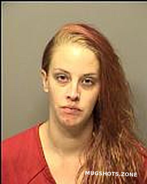 JONES DANIELLE LEA 10/24/2024 - Porter County Mugshots Zone