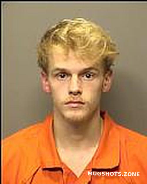 LARSON NATHANIEL CHARLES 11/22/2024 - Porter County Mugshots Zone