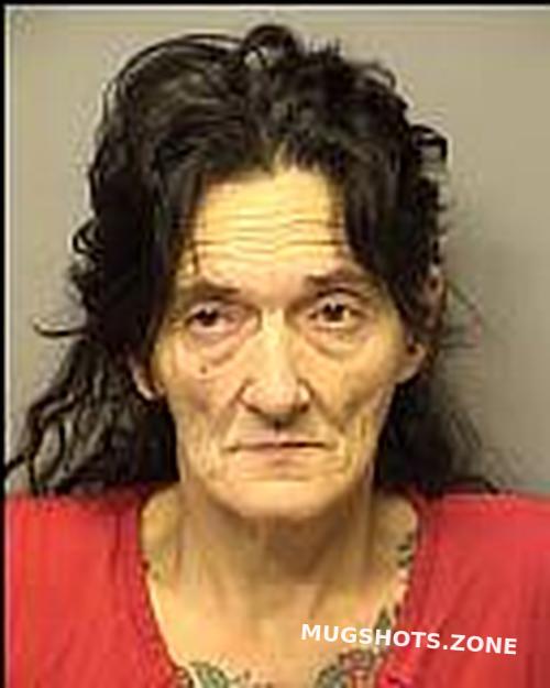 BLUNK HEIDI MELISSA 01/21/2025 - Porter County Mugshots Zone