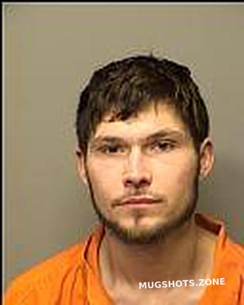 WILLIS STEPHEN LEE 02/10/2025 - Porter County Mugshots Zone