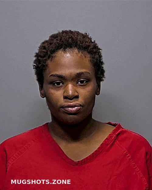 AUSTIN-KEEL ALANNA MARLEE 04/20/2025 - Porter County Mugshots Zone