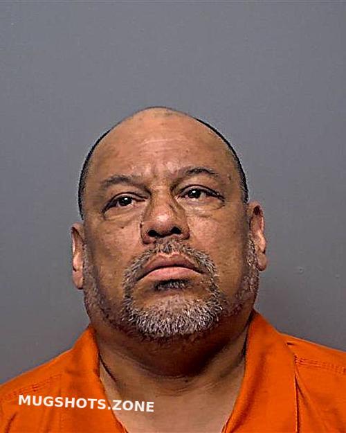 NEGRETE LARRY ANTHONY 05/18/2025 - Porter County Mugshots Zone