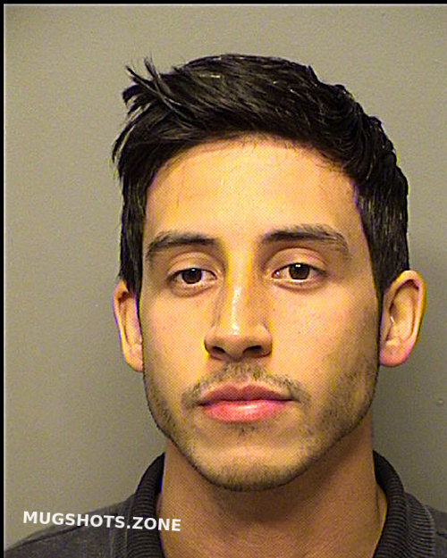 GONZALEZ ALVIN 06/01/2025 - Porter County Mugshots Zone